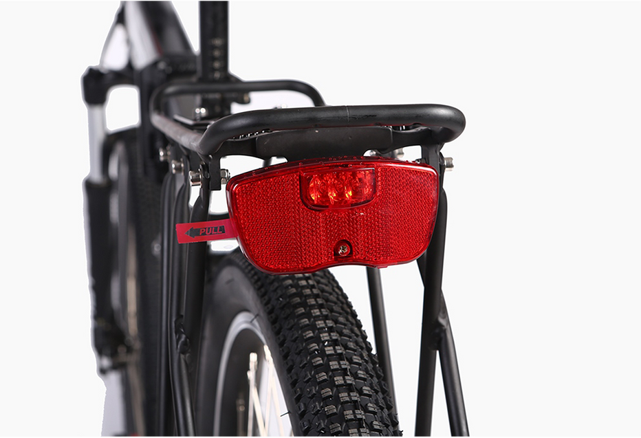 X-Treme Rubicon 48 Volt Electric Mountain Bicycle – Electric Sports Company