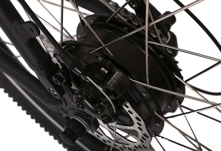 X-Treme Rubicon 48 Volt Electric Mountain Bicycle – Electric Sports Company