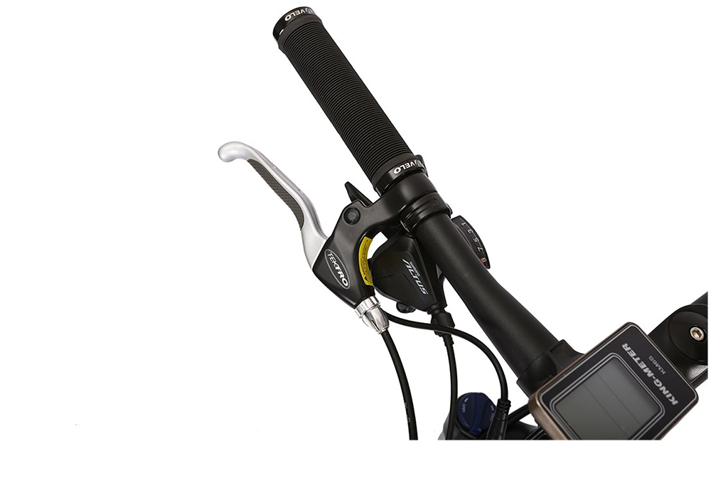 Rubicon 48 Volt Electric Mountain Bicycle – Electric Sports Company