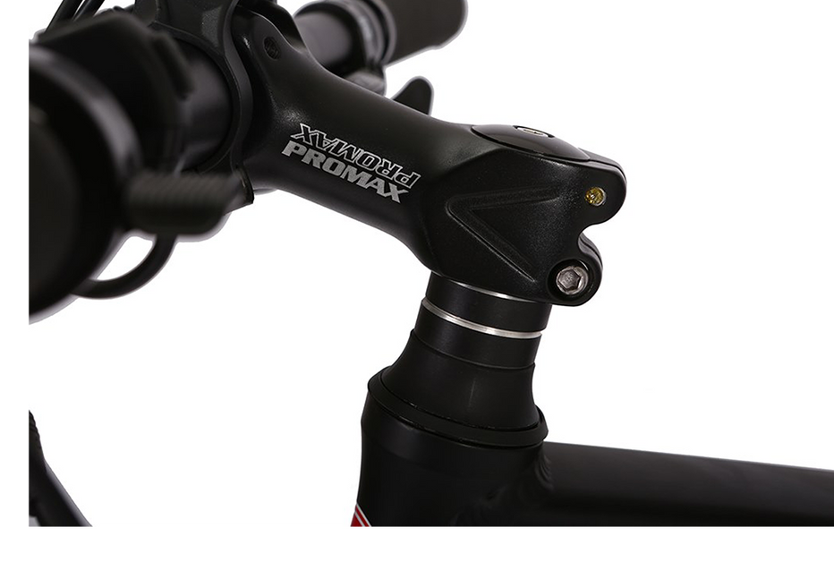 X-Treme Rubicon 48 Volt Electric Mountain Bicycle – Electric Sports Company