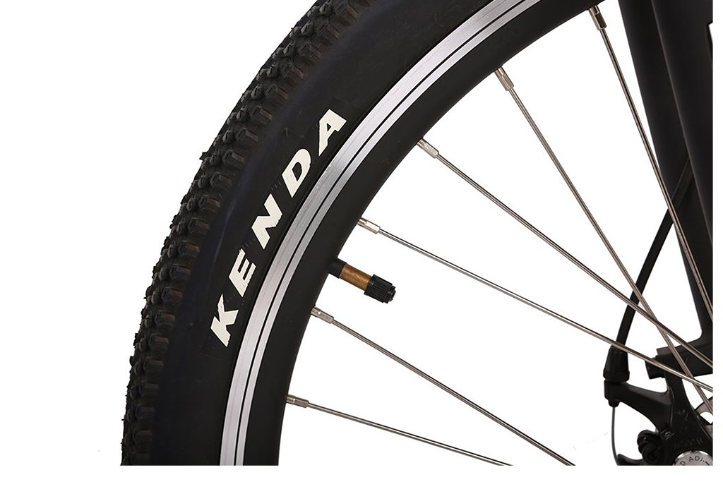 Rubicon 48 Volt Electric Mountain Bicycle – Electric Sports Company